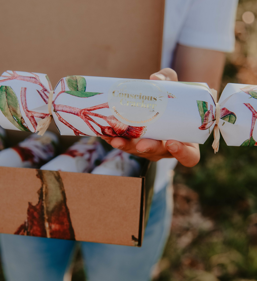 Conscious Christmas Crackers - Pre-Sale 2026 – The Conscious Cracker Co.